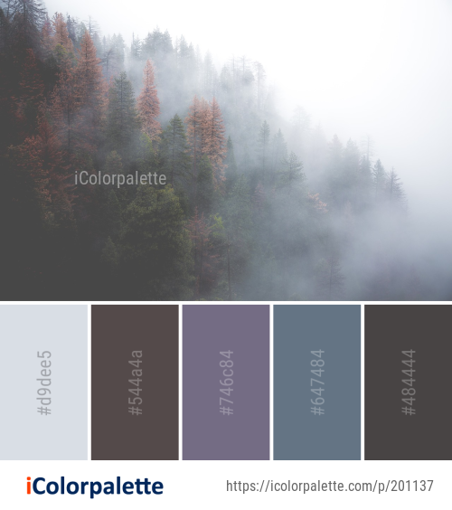 Color Palette Ideas from Fog Mist Tree Image | iColorpalette