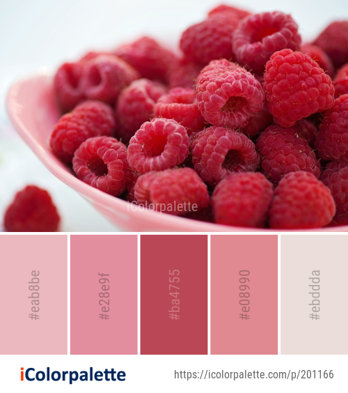Color Palette Ideas from Natural Foods Raspberry Berry Image ...