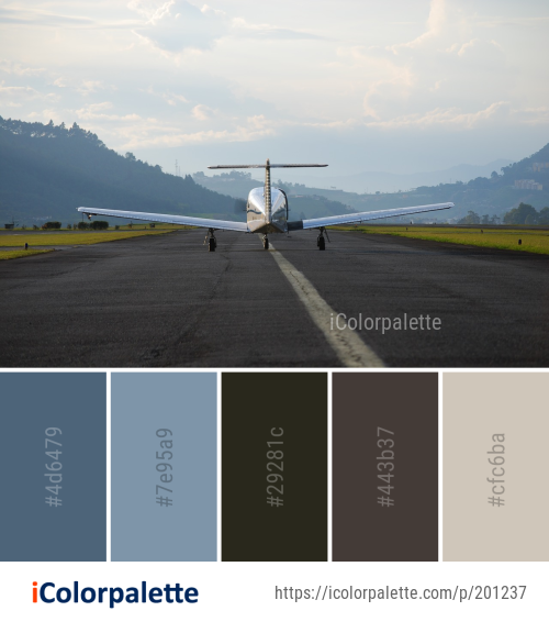 Color Palette Ideas from Airplane Aircraft Sky Image | iColorpalette