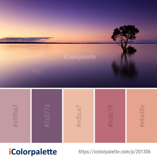 Color Palette Ideas from Horizon Reflection Sky Image | iColorpalette