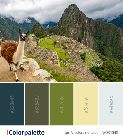 14+ Llama Color Palette ideas in 2025 | iColorPalette
