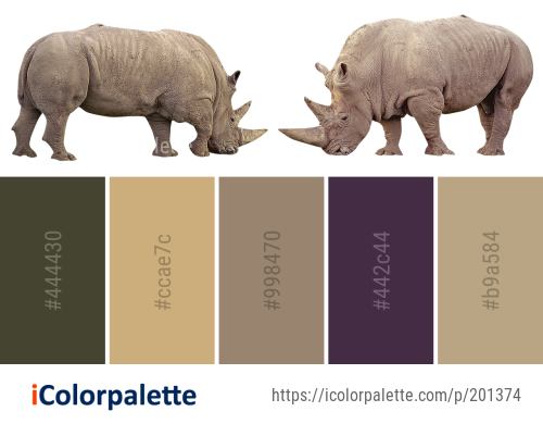 22 Rhinoceros Color Palette ideas in 2025 | iColorpalette
