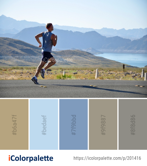 7+ Sports Color Palette ideas in 2025 | iColorPalette