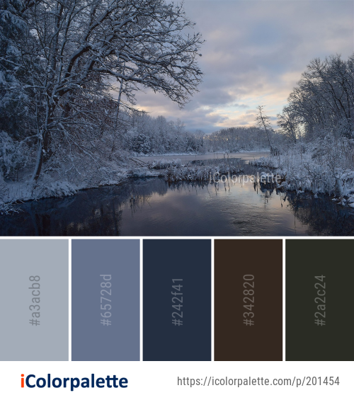 Color Palette Ideas from Winter Reflection Snow Image | iColorpalette
