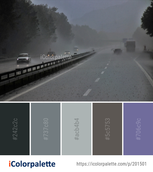 Color Palette Ideas from Road Fog Lane Image | iColorpalette