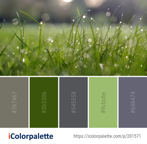 Color Palette Ideas from Water Dew Moisture Image | iColorpalette