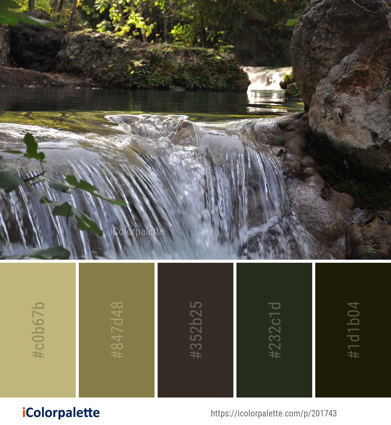 Color Palette Ideas from Water Waterfall Nature Image | iColorpalette