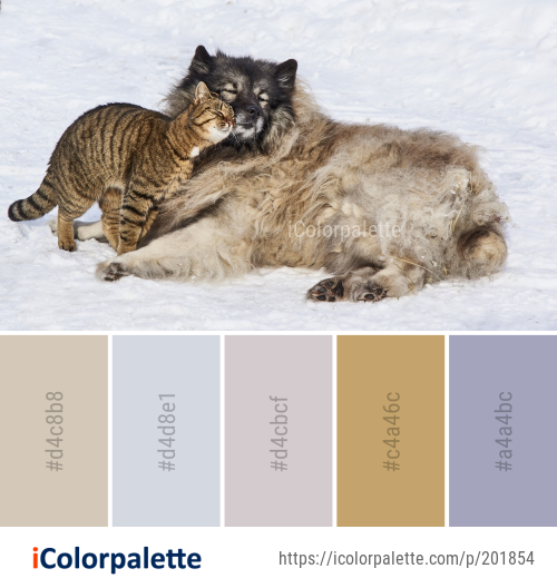 14+ Puma Color Palette ideas in 2025 | iColorPalette