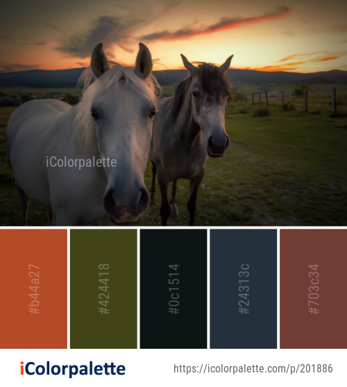 Color Palette Ideas from Horse Mane Ecosystem Image | iColorpalette