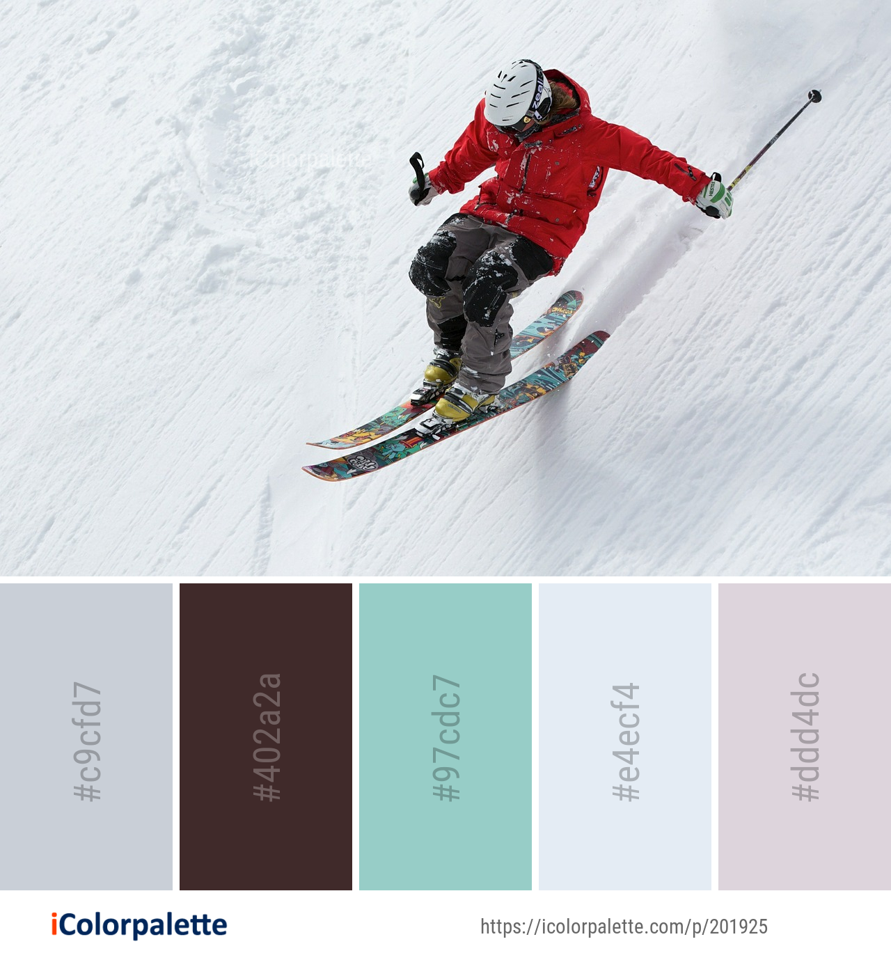 Color Palette Ideas from Ski Pole Skiing Binding Image | iColorpalette