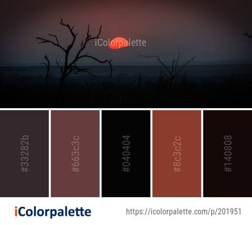 Color Palette Ideas from Sky Sun Sunrise Image | iColorpalette