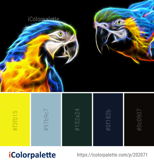 Color Palette Ideas from Beak Bird Macaw Image | iColorpalette