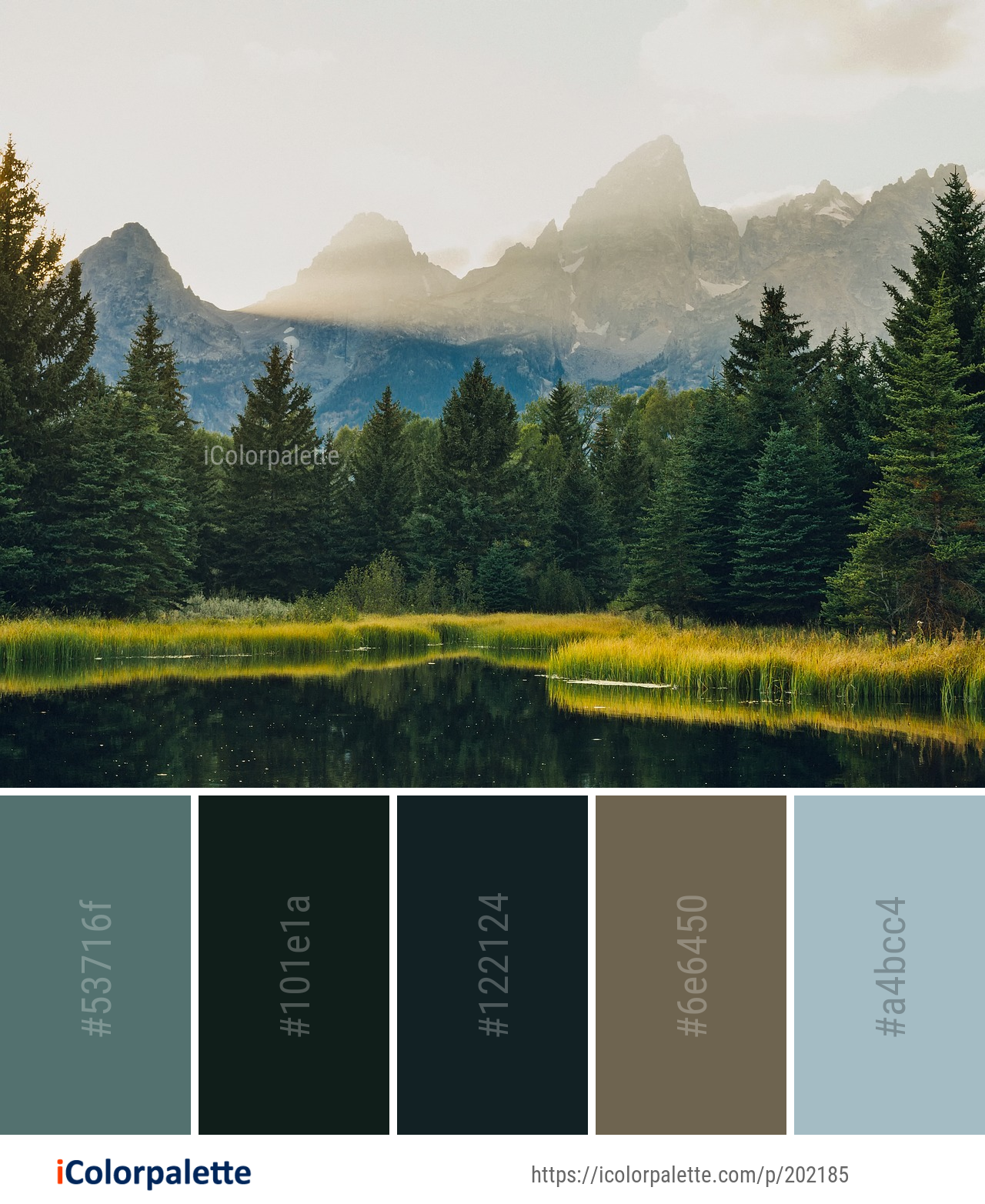 Color Palette Ideas from Nature Reflection Wilderness Image | iColorpalette