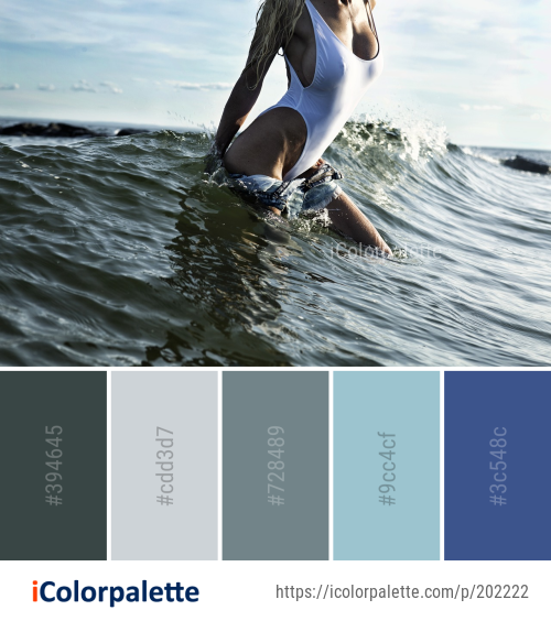 surfing – iColorpalette