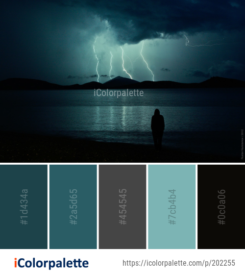 Color Palette Ideas from Sea Sky Thunder Image | iColorpalette
