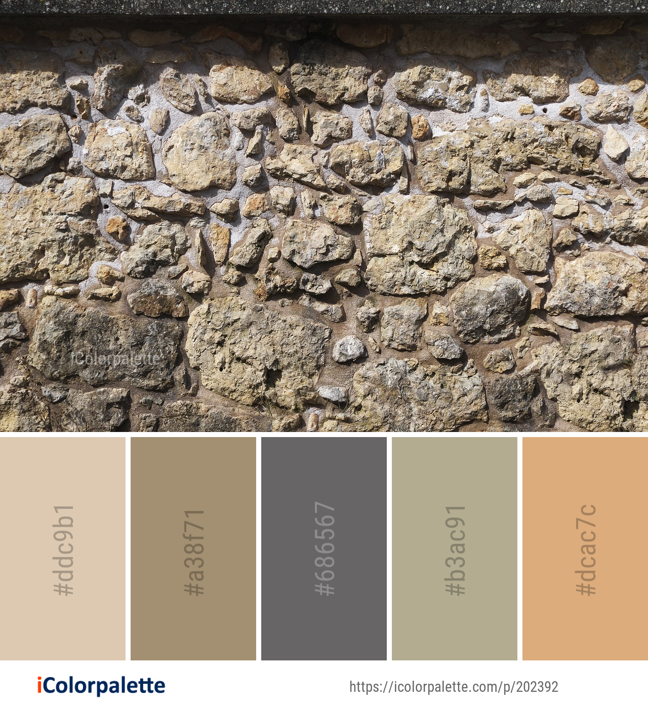 Color Palette Ideas from Stone Wall Rock Archaeological Site Image ...