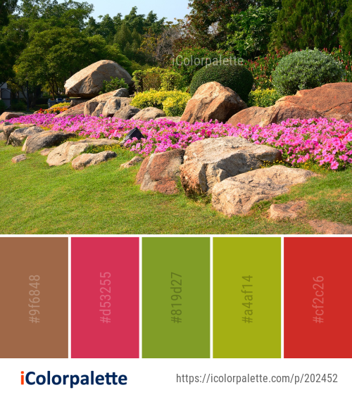 Color Palette Ideas from Flower Garden Plant Image | iColorpalette