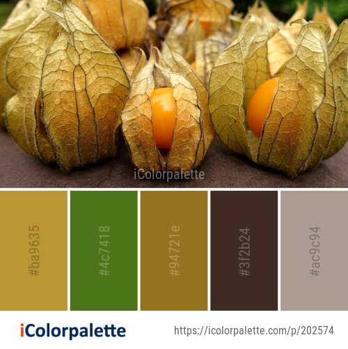 gourd – iColorpalette