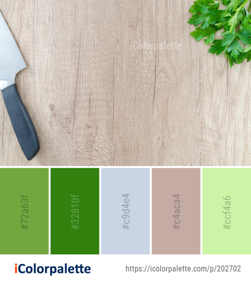 78+ Floor Color Palette ideas in 2026 | iColorPalette