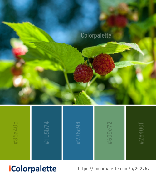 Color Palette Ideas from Raspberry Berry Mulberry Image | iColorpalette