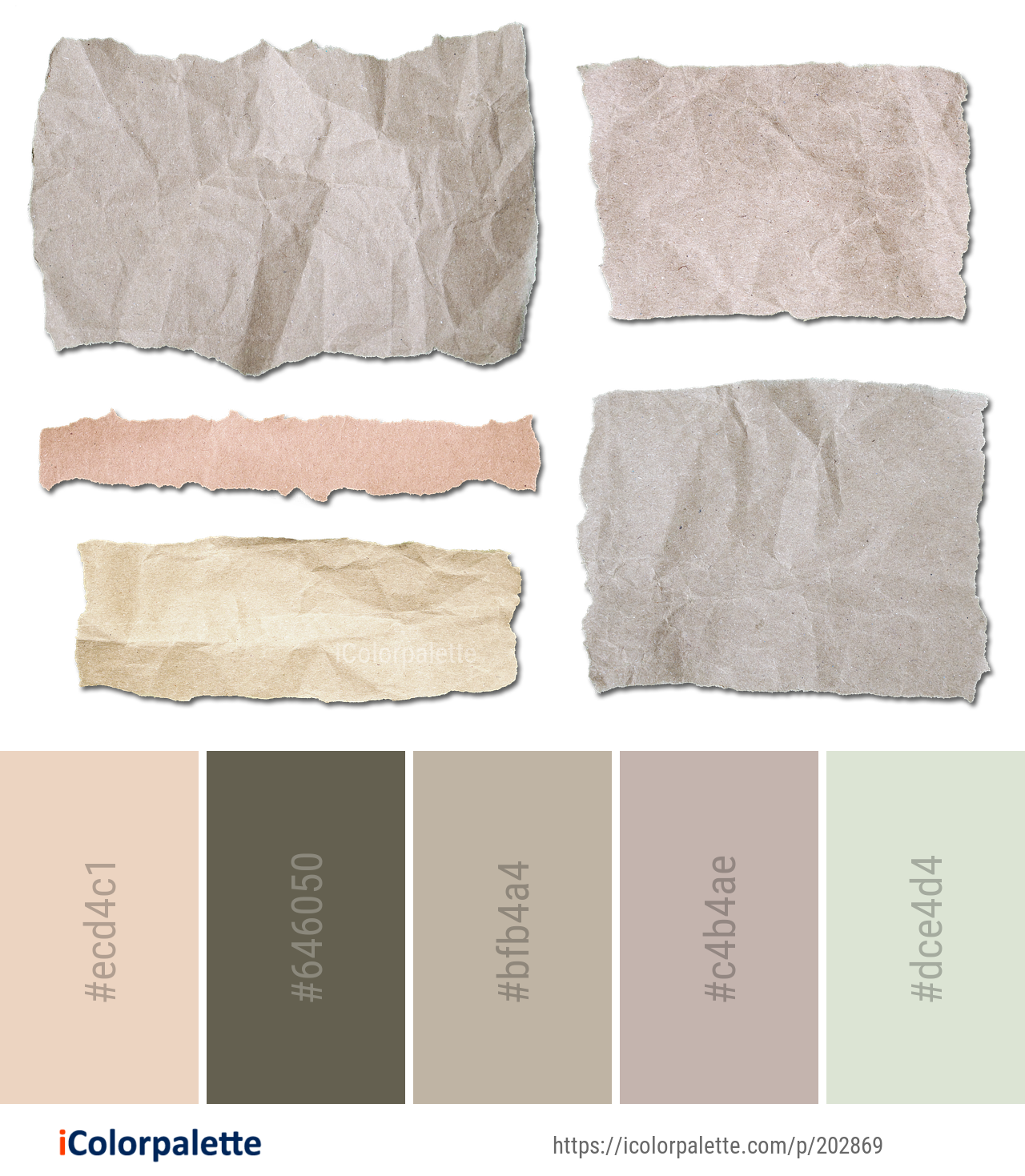 Color Palette Ideas from Material Product Paper Image | iColorpalette
