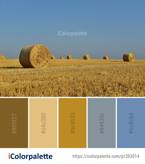 30 Harvest Color Palette ideas in 2025 | iColorpalette
