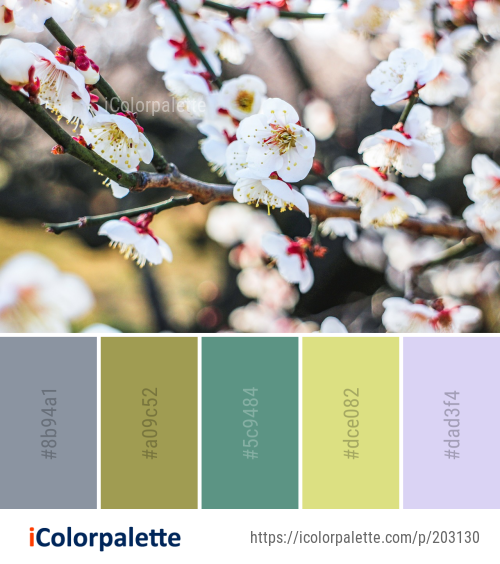 Color Palette Ideas from Blossom Flower Spring Image | iColorpalette