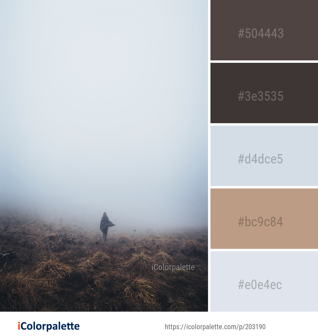 10 Trident Color Palette ideas in 2025 | iColorpalette