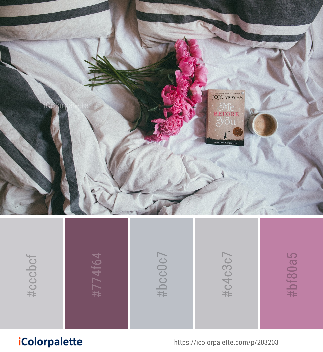 Color Palette Ideas from Pink Textile Flower Image | iColorpalette