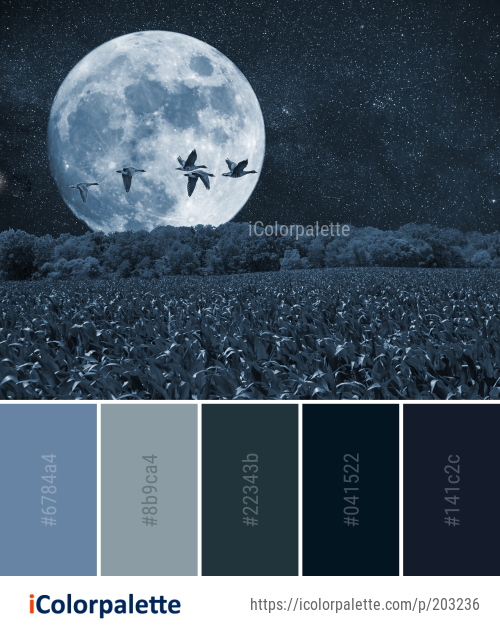 Color Palette Ideas from Moon Nature Sky Image | iColorpalette