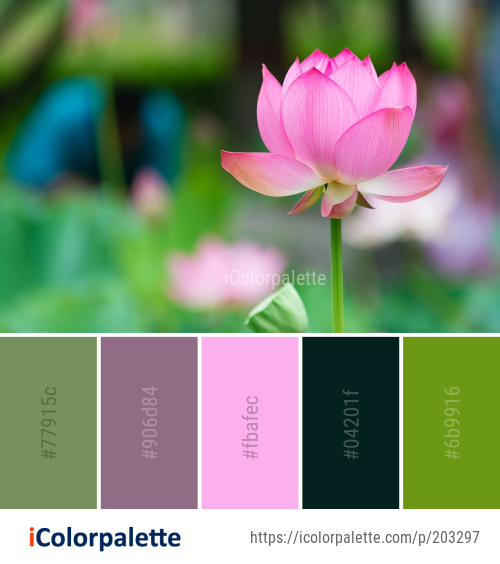 16 Botany Color Palette ideas in 2025 | iColorpalette