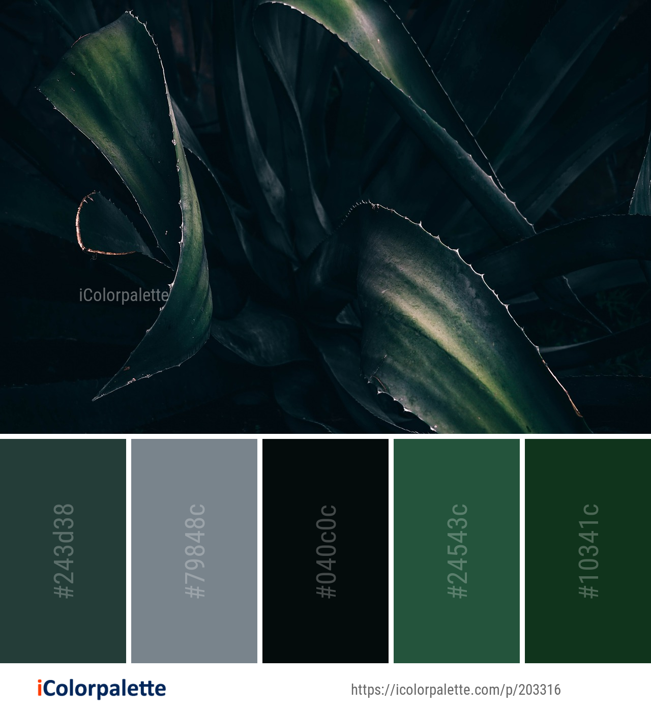 135 Black / Dark Color Palettes | Curated collection of Color Palettes