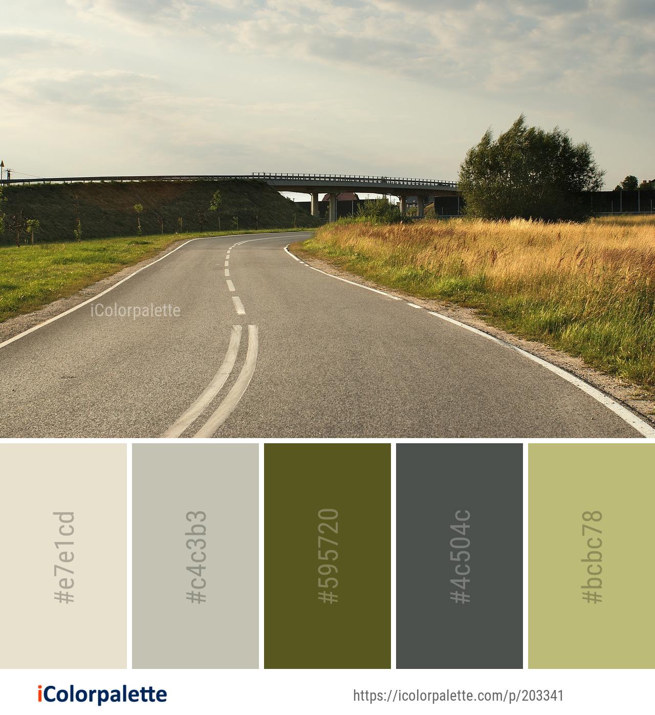 Color Palette Ideas from Road Lane Highway Image | iColorpalette
