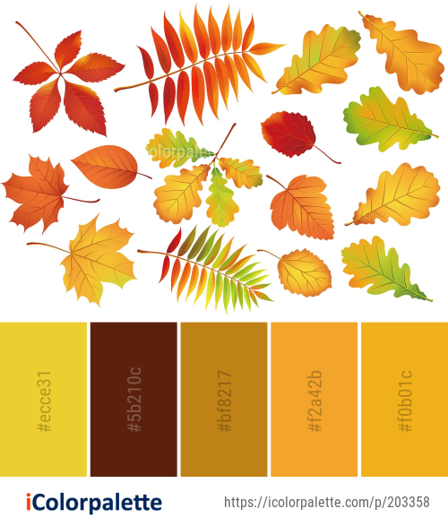 Color Palette Ideas from Leaf Orange Flower Image | iColorpalette