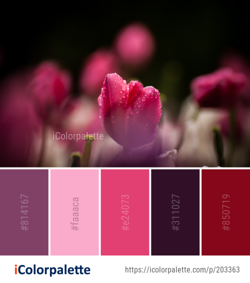 16 Botany Color Palette ideas in 2025 | iColorpalette