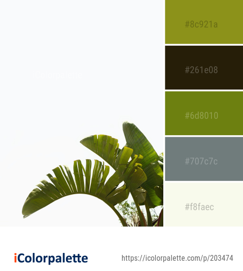 Color Palette Ideas from Leaf Plant Tree Image | iColorpalette