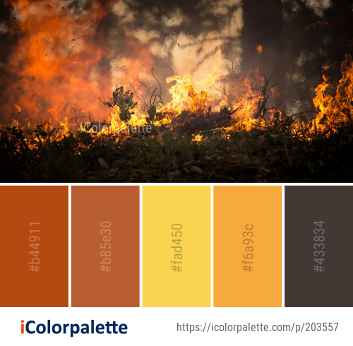 Color Palette Ideas from Wildfire Sky Fire Image | iColorpalette