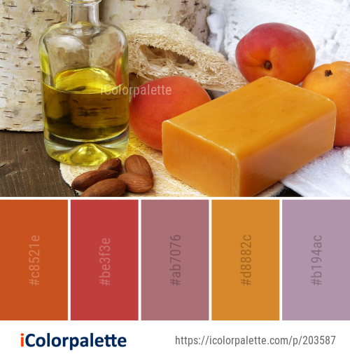 Color Palette Ideas from Fruit Vegetarian Food Image | iColorpalette
