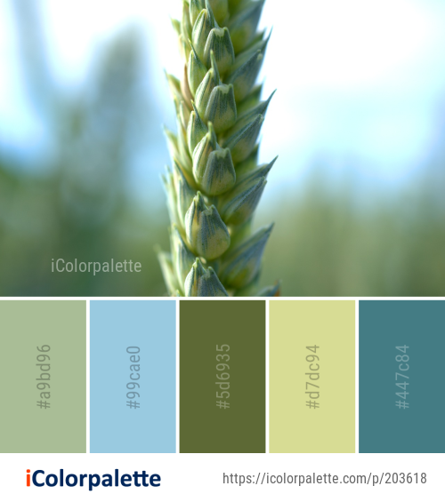 Color Palette Ideas from Grass Family Plant Image | iColorpalette