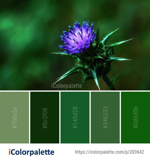 Color Palette Ideas from Flower Silybum Thistle Image | iColorPalette