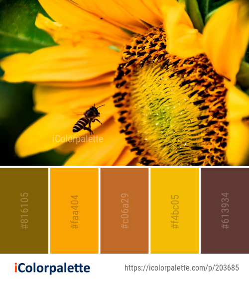 Color Palette Ideas from Flower Honey Bee Yellow Image | iColorpalette