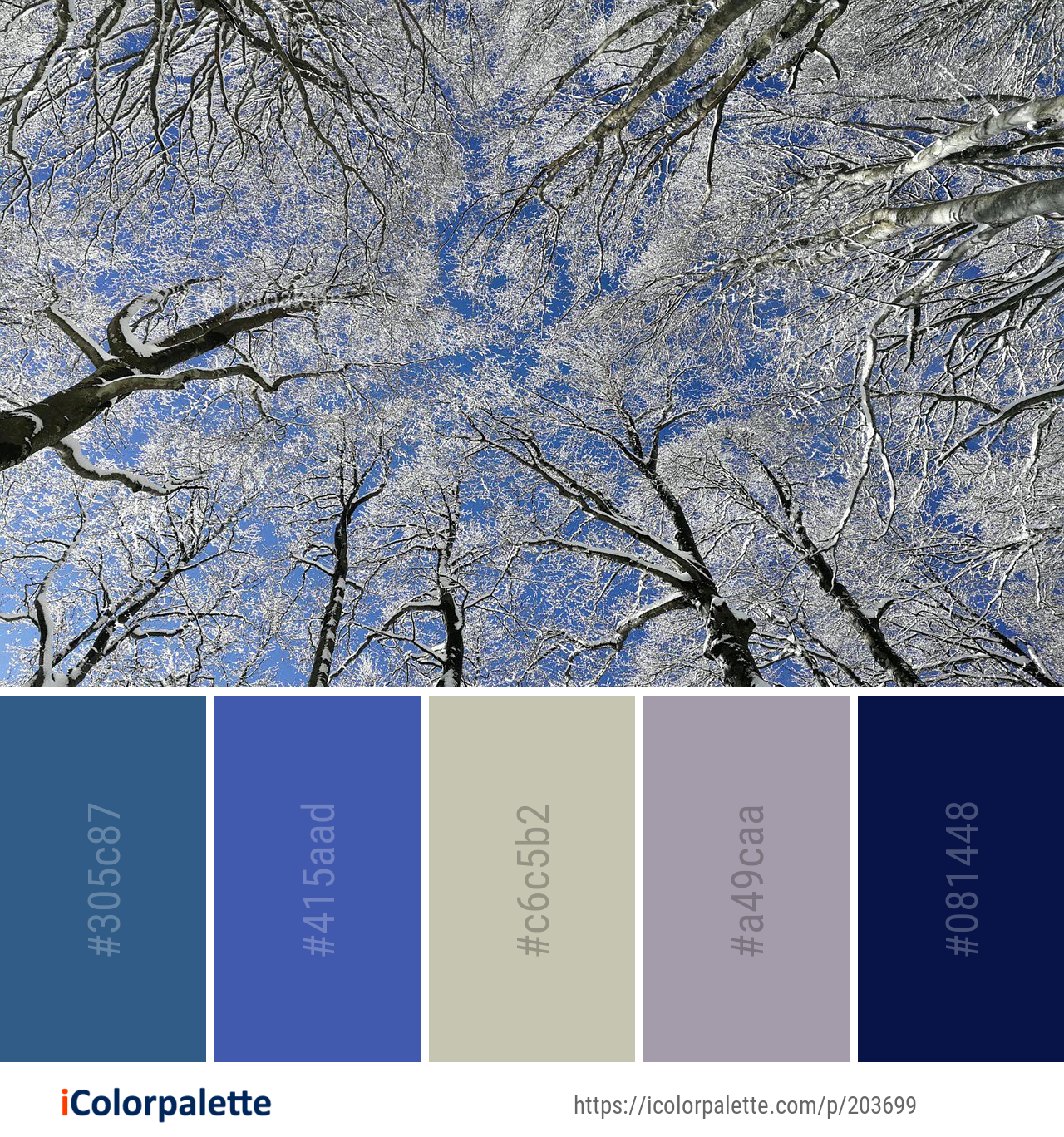 Color Palette Ideas from Branch Tree Winter Image | iColorpalette