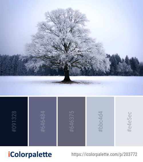 70 Winter Color Palette | Curated collection of Color Palettes