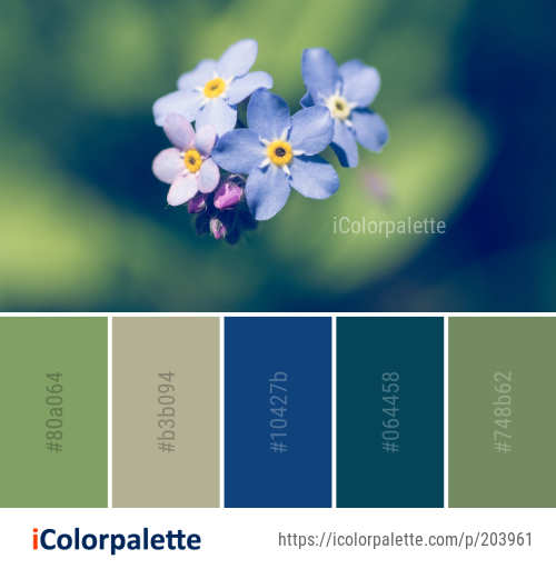 Color Palette Ideas from Flower Blue Forget Me Not Image | iColorpalette