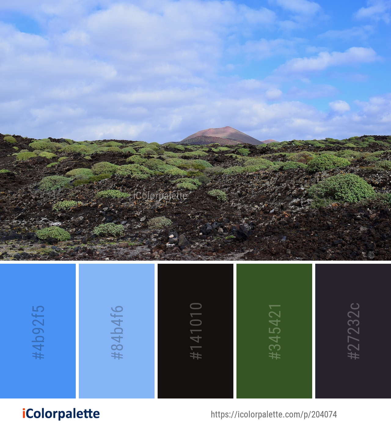 Color Palette Ideas from Hill Vegetation Mountainous Landforms Image ...