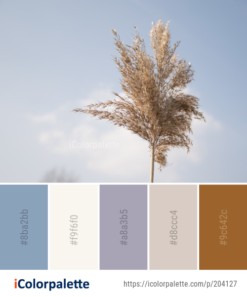 Color Palette Ideas from Sky Tree Grass Family Image | iColorpalette