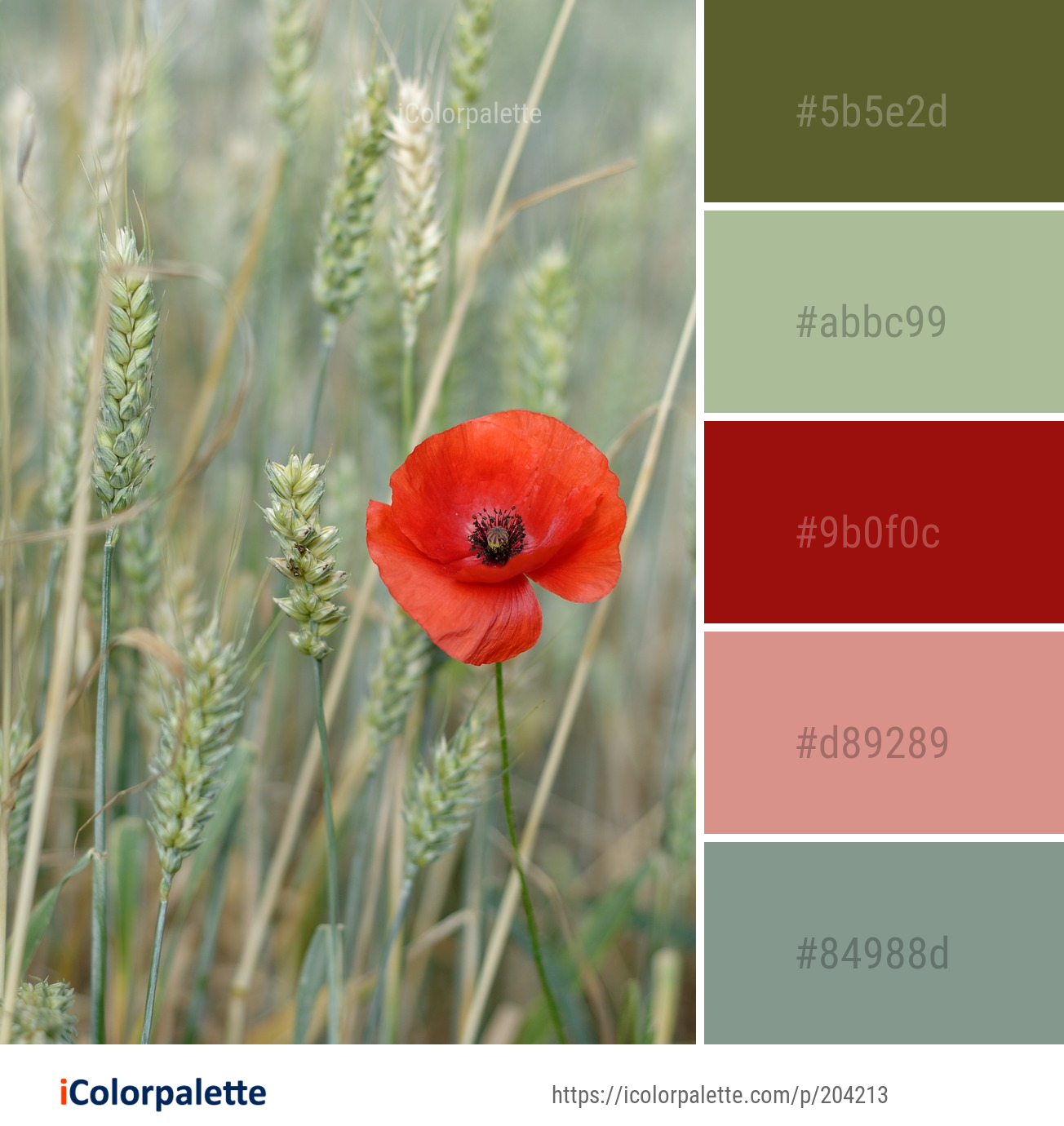 Color Palette Ideas from Flower Wildflower Vegetation Image | iColorpalette