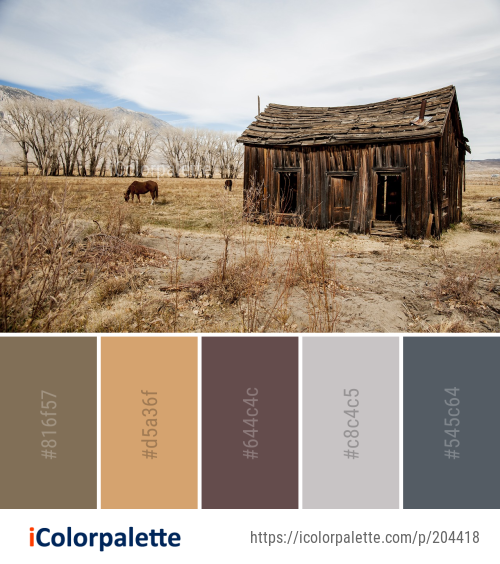 Color Palette Ideas from Shack Prairie Sky Image | iColorpalette