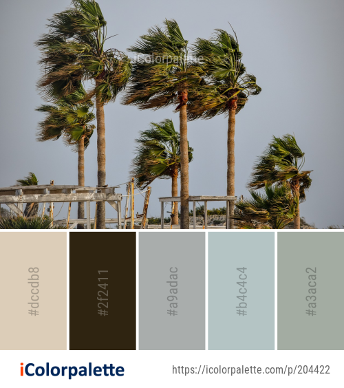10+ Coconut Color Palette ideas in 2026 | iColorPalette