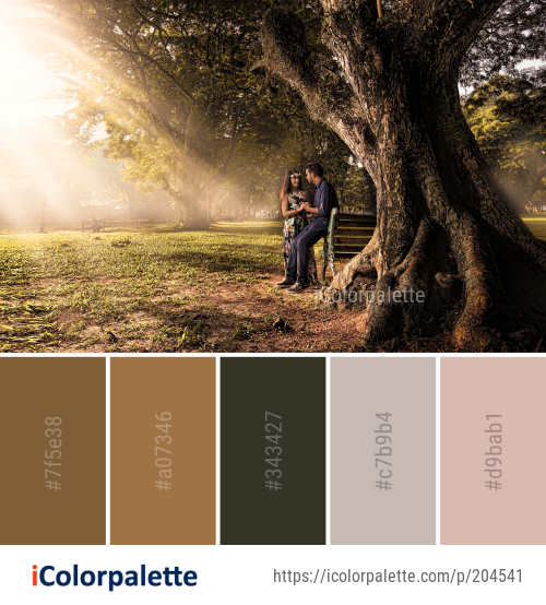 Color Palette Ideas from Nature Tree Woody Plant Image | iColorpalette